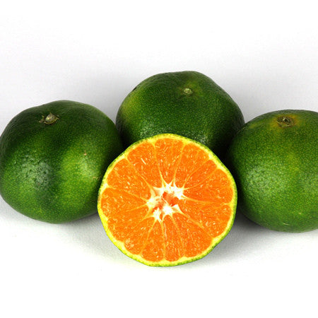 Mandarin, Green – Organic Infusions