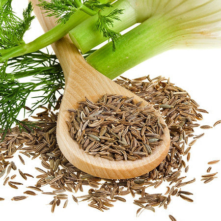 Fennel, Sweet, Wild – Organic Infusions