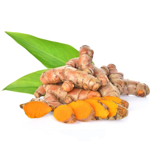 Turmeric Hydrosol – Organic Infusions