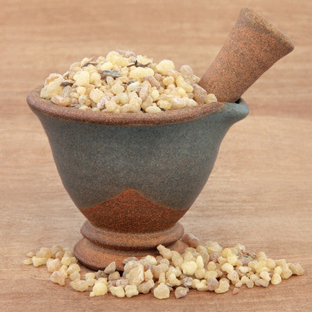 Frankincense Oil | Wholesale Essential Oils | Organic Infusions