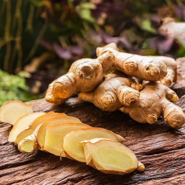 Ginger Hydrosol – Organic Infusions